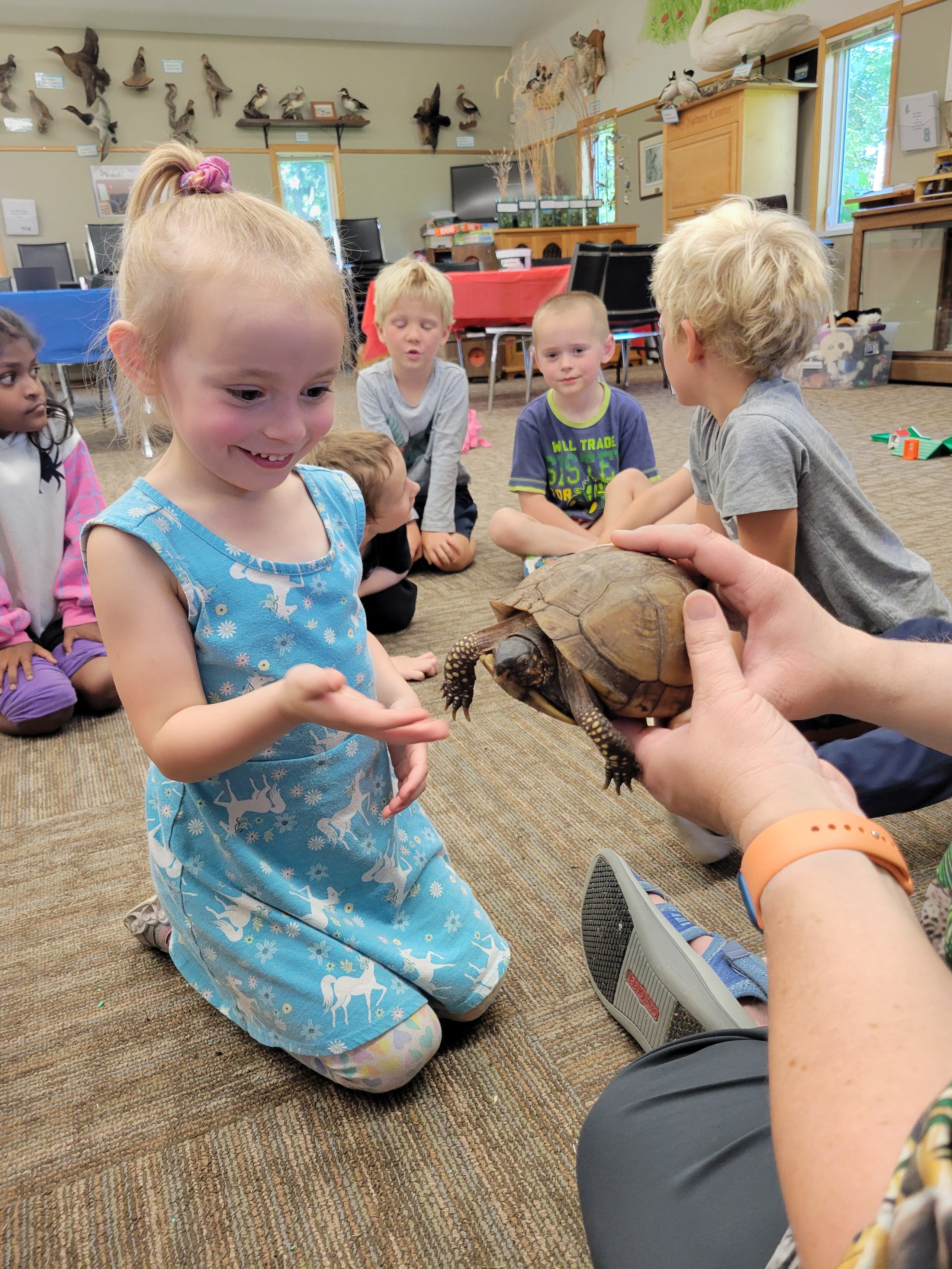 Amazing Animals Camp (June) | Ney Nature Center